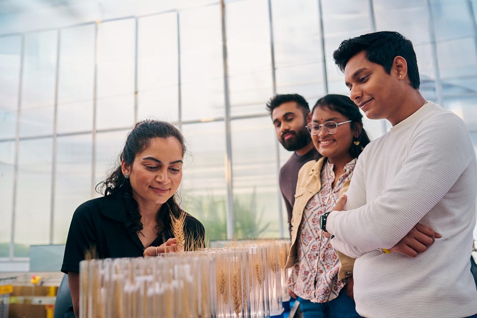 Plan your studies | Study Australia