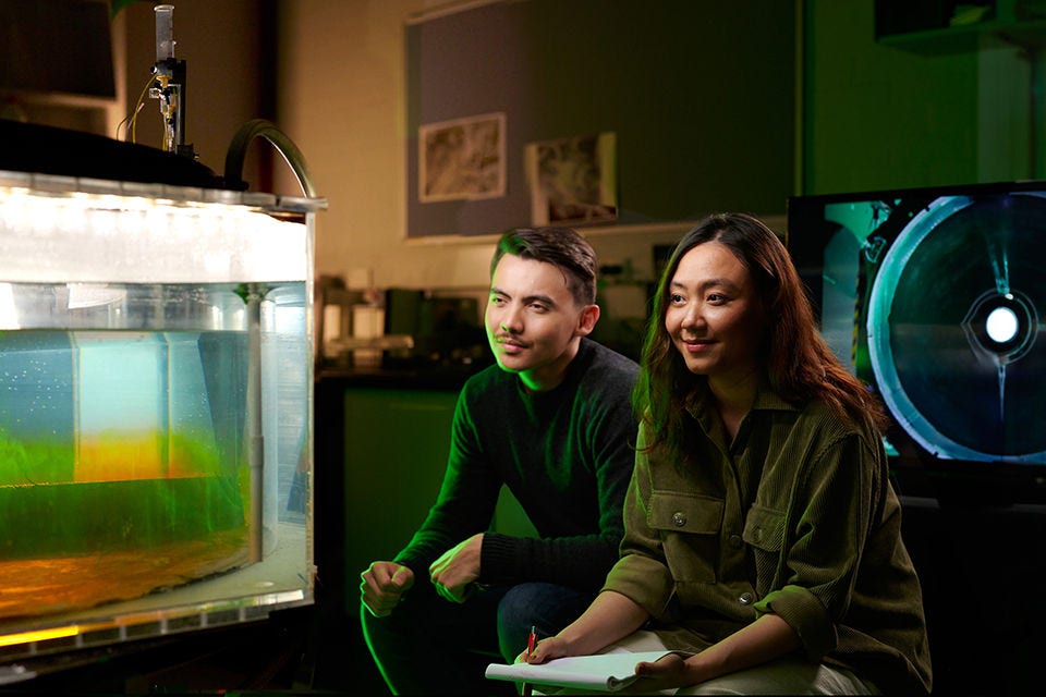 Understanding mid-year entry | Study Australia