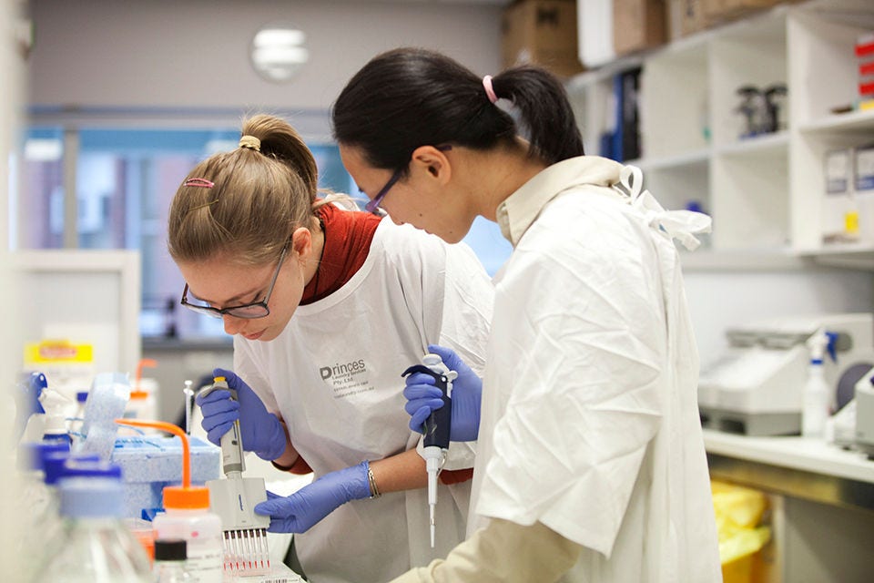 Study Australia Industry Experience Program (SAIEP) | Study Australia